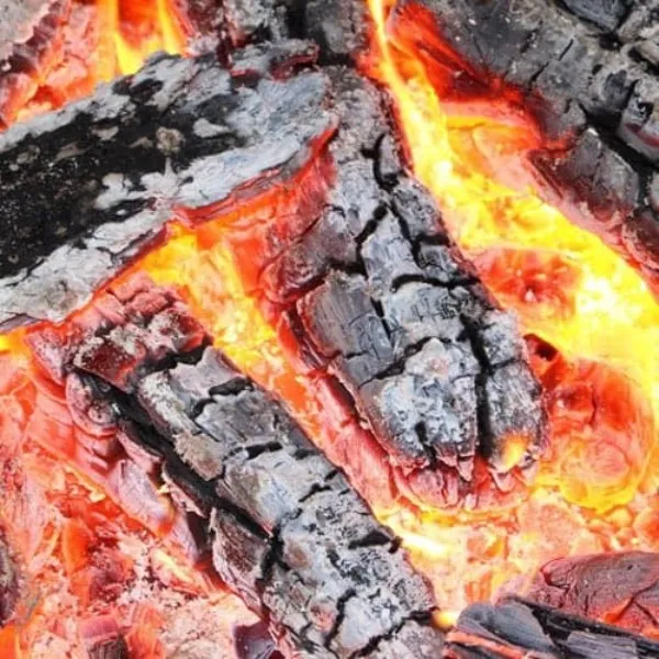 Las Ascuas: Un Símbolo de Fuego Divino en la Biblia