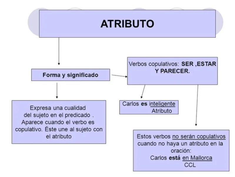 Atributos: La Clave para Definir la Esencia de Cualquier Cosa