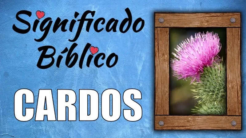 El Mundo Espinoso de los Cardos: Un Viaje a Través de la Historia, la ...