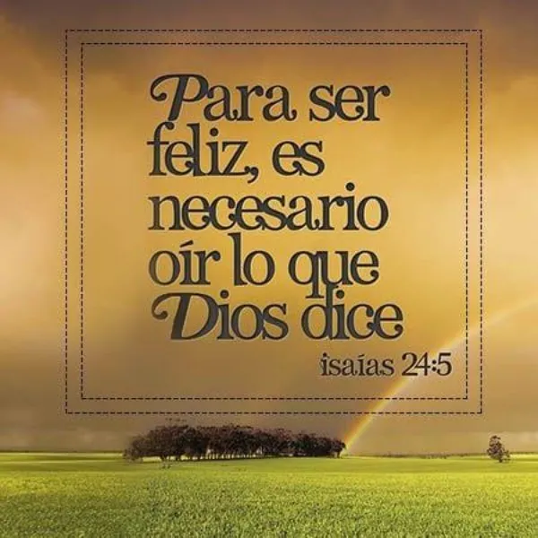 Frases Bíblicas Cortas Un Tesoro De Sabiduría Y Esperanza