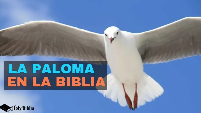 La Paloma Blanca: Un Símbolo de Esperanza y Paz en la Biblia