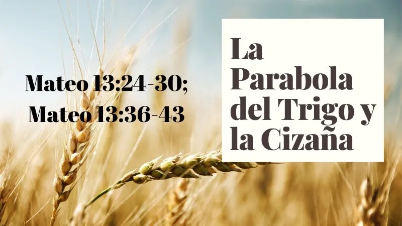 La parábola del trigo y la cizaña: Una metáfora de la paciencia y la fe